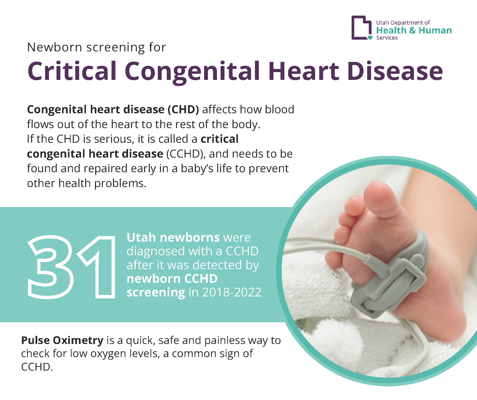 Critical Congenital Heart Disease Screening | DHHS Division of Family ...